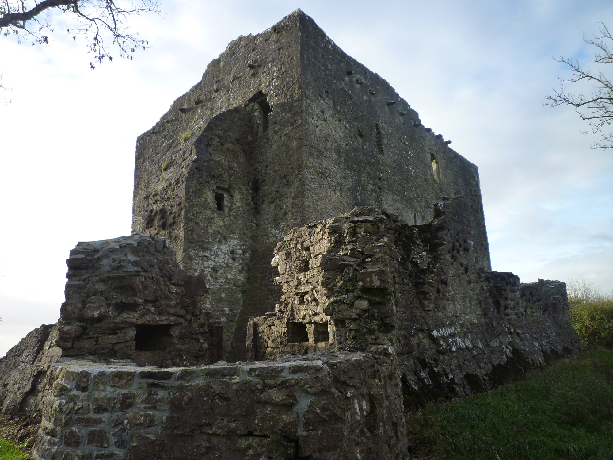 Sowing Seeds of Interdisciplinary Work: Relict Plants at Medieval ...